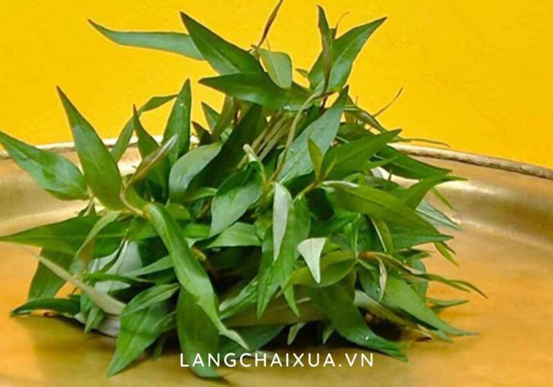 Bà Bầu Có Nên ăn Rau Răm? 3 Tác Hại Cần Biết